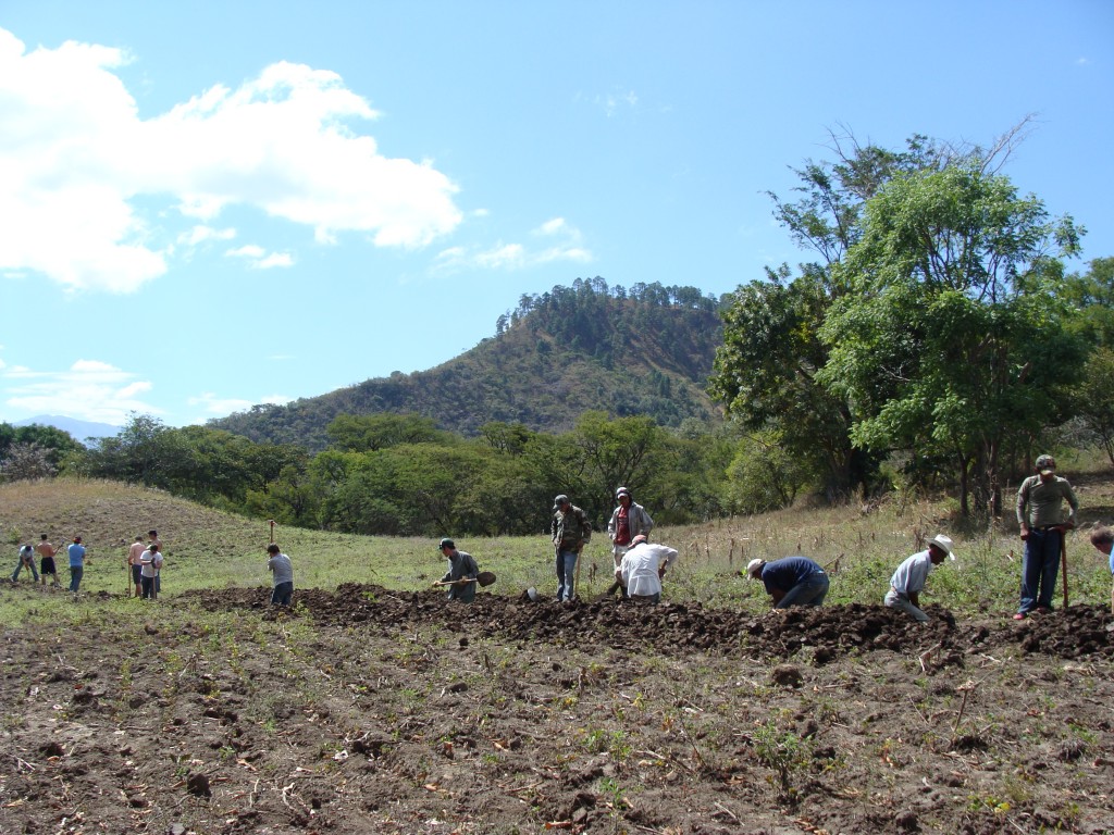 Water Brigades Updates - Global Brigades Blog